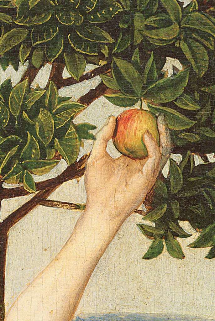 The Apple (or whatever it was) | Journeying & Journaling